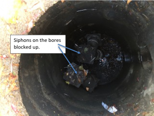 Soak holes – The worker bees of a stormwater management plan - Dutton ...