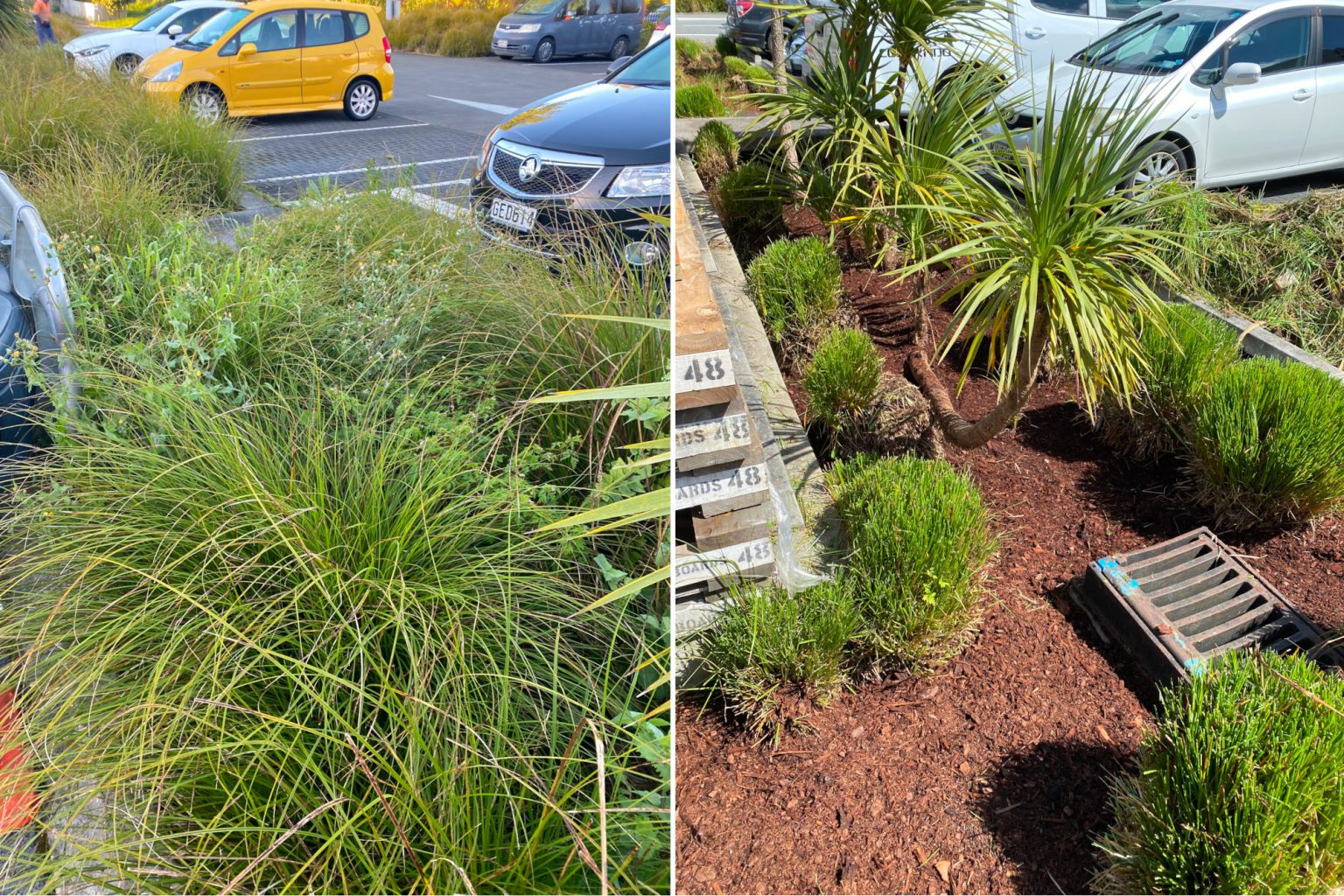 Rain Garden Maintenance - Dutton Stormwater Ltd